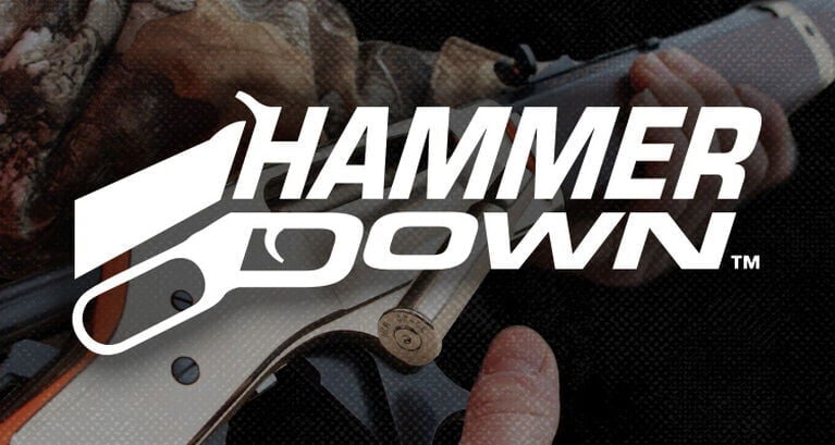 HammerDown