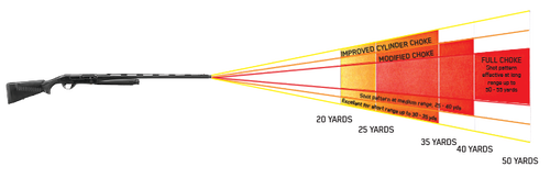 Ammo Basics - Shotshell