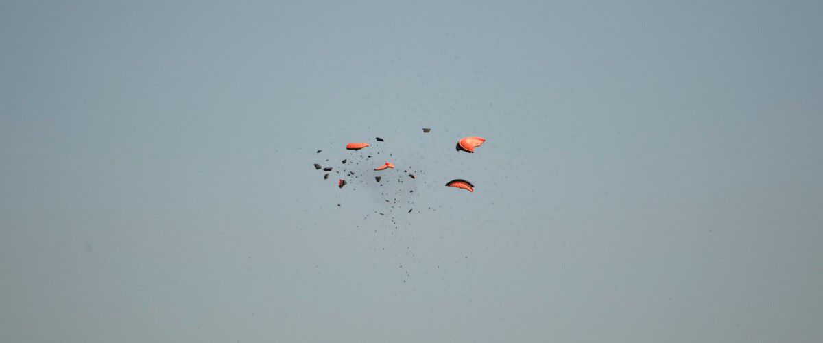 Beat The Springing Teal