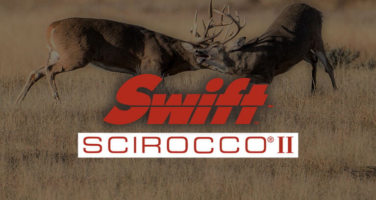 Swift Scirocco II