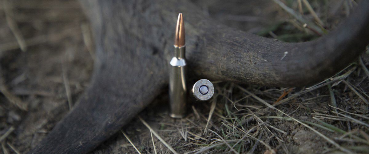Choosing The Right Big Game Bullet