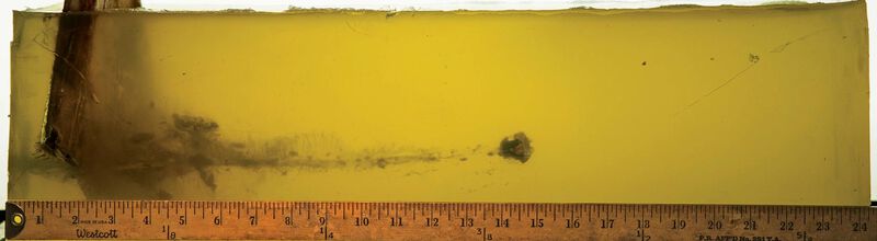 Buy Trophy Copper Muzzleloader Bullet .50 Ammo 270 | PMZ50TC1