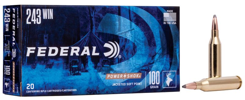Buy Power-Shok Rifle 243 Win Ammo 100 | 243B