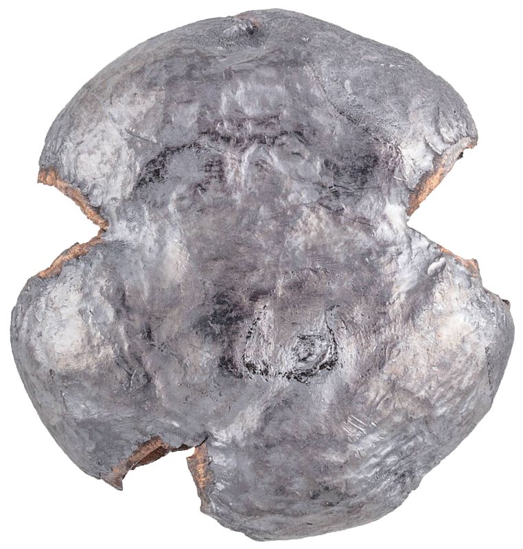 Buy Terminal Ascent 308 Win Ammo 175 | P308TA1