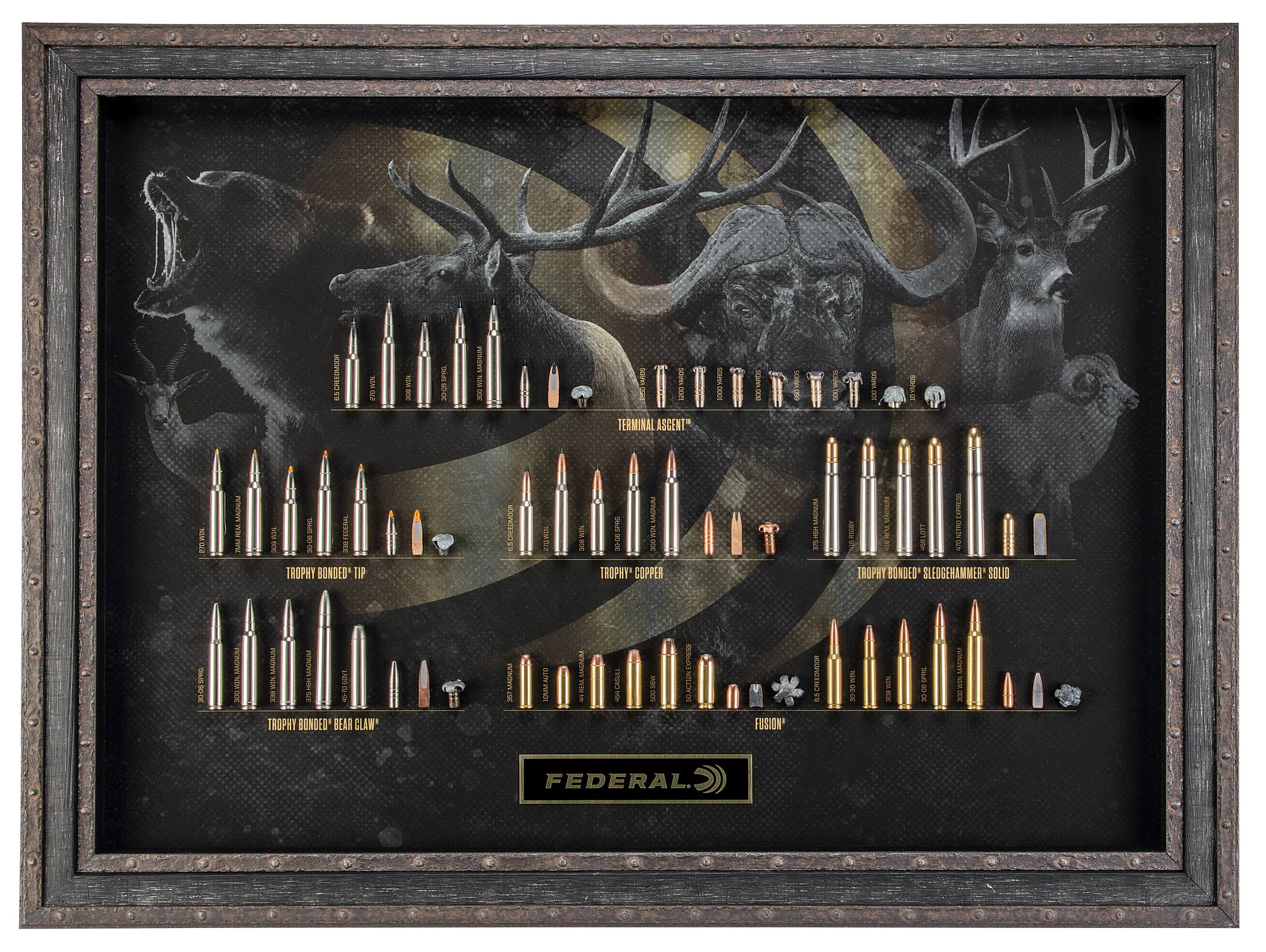 Buy Federal Bullet Board Big Game | Federal